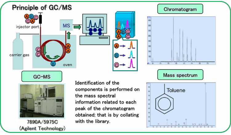 Analysis and the principle of Gas Chromatography-Mass Spectrometer｜イビデン ...